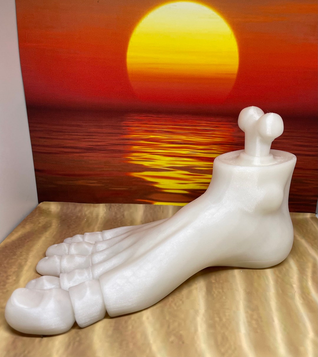 3D Printed Flexi Foot Fidget Foot/ 3D Printed Desk Toy Articulated Foot ...