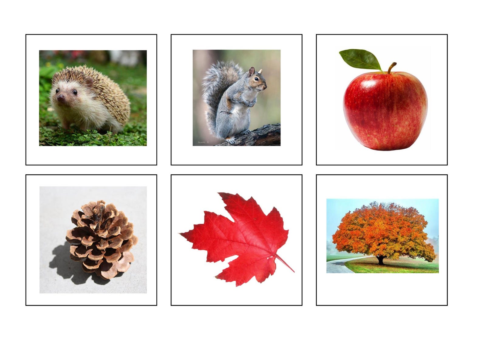 Autumn Bingo Game, Printable Vocabulary Activity (digital Download) - Etsy
