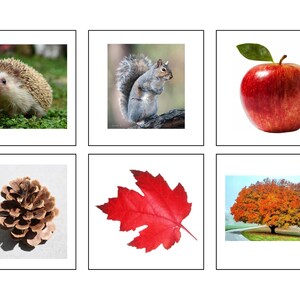 Autumn Bingo Game, Printable Vocabulary Activity (digital Download) - Etsy