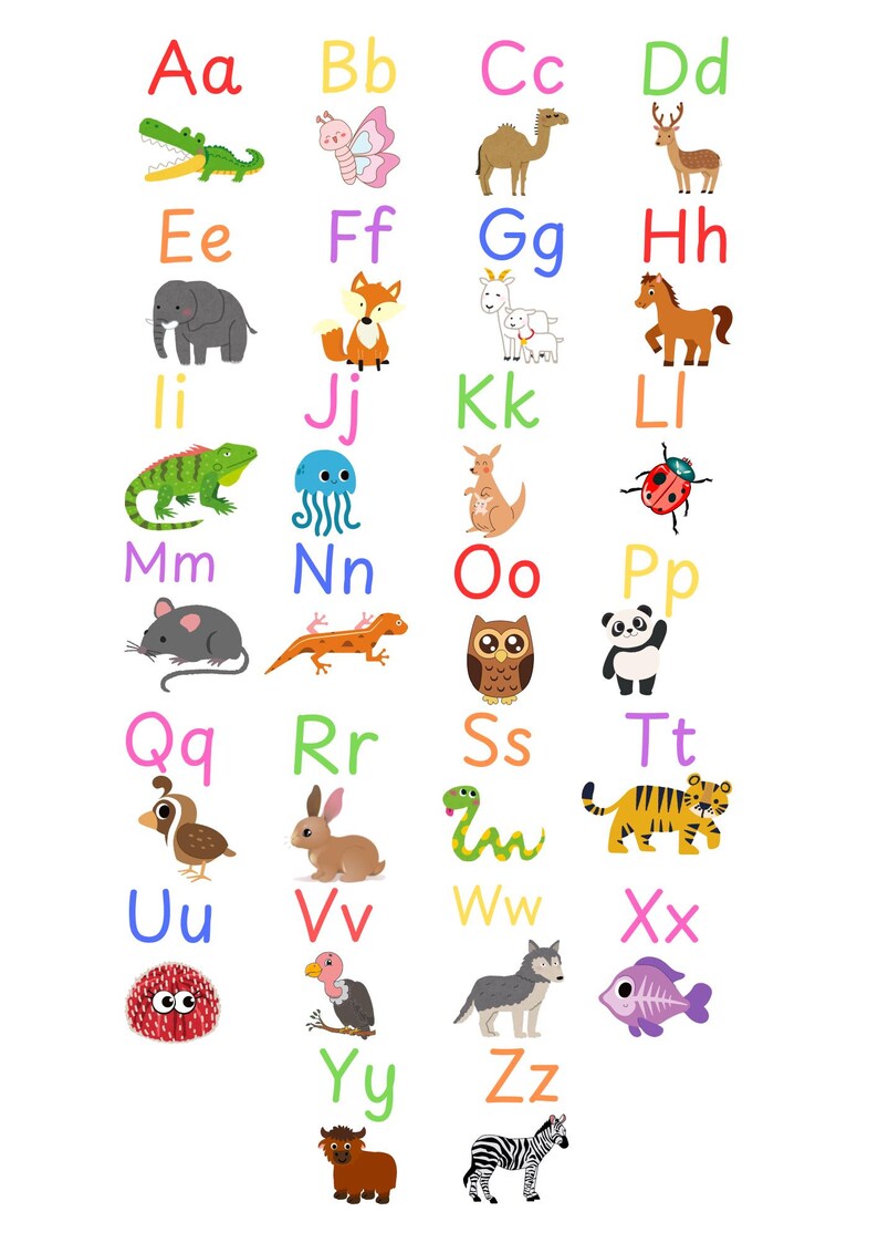 Cute Animal Alphabet Poster, Kids Colourful Educational Wall Art, A4 ...