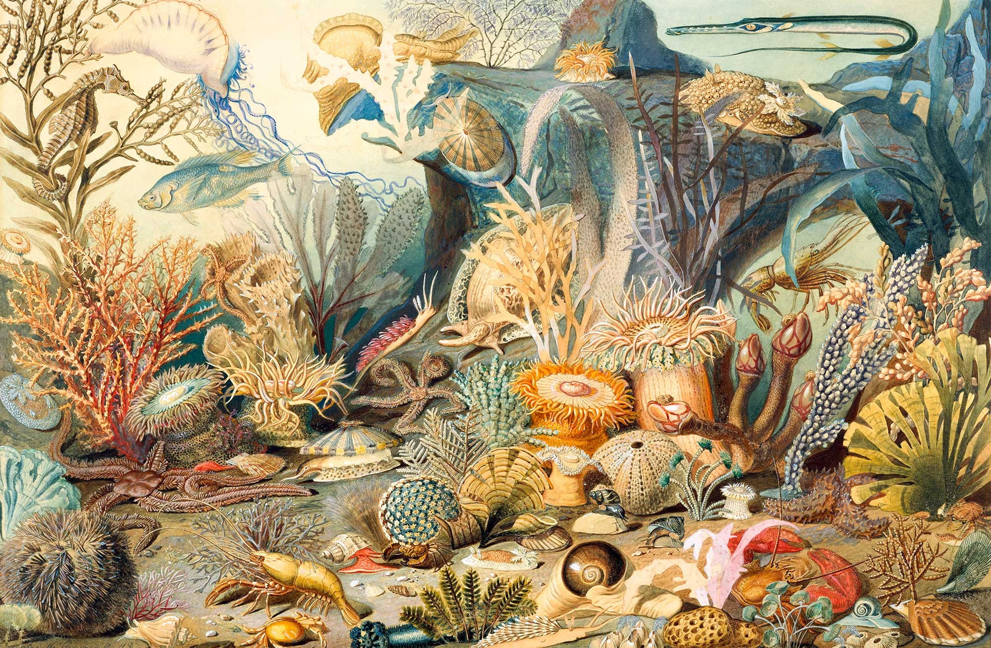 Ocean Life Wooden Jigsaw Puzzle, Whimsical Sea Creature Pieces - Etsy