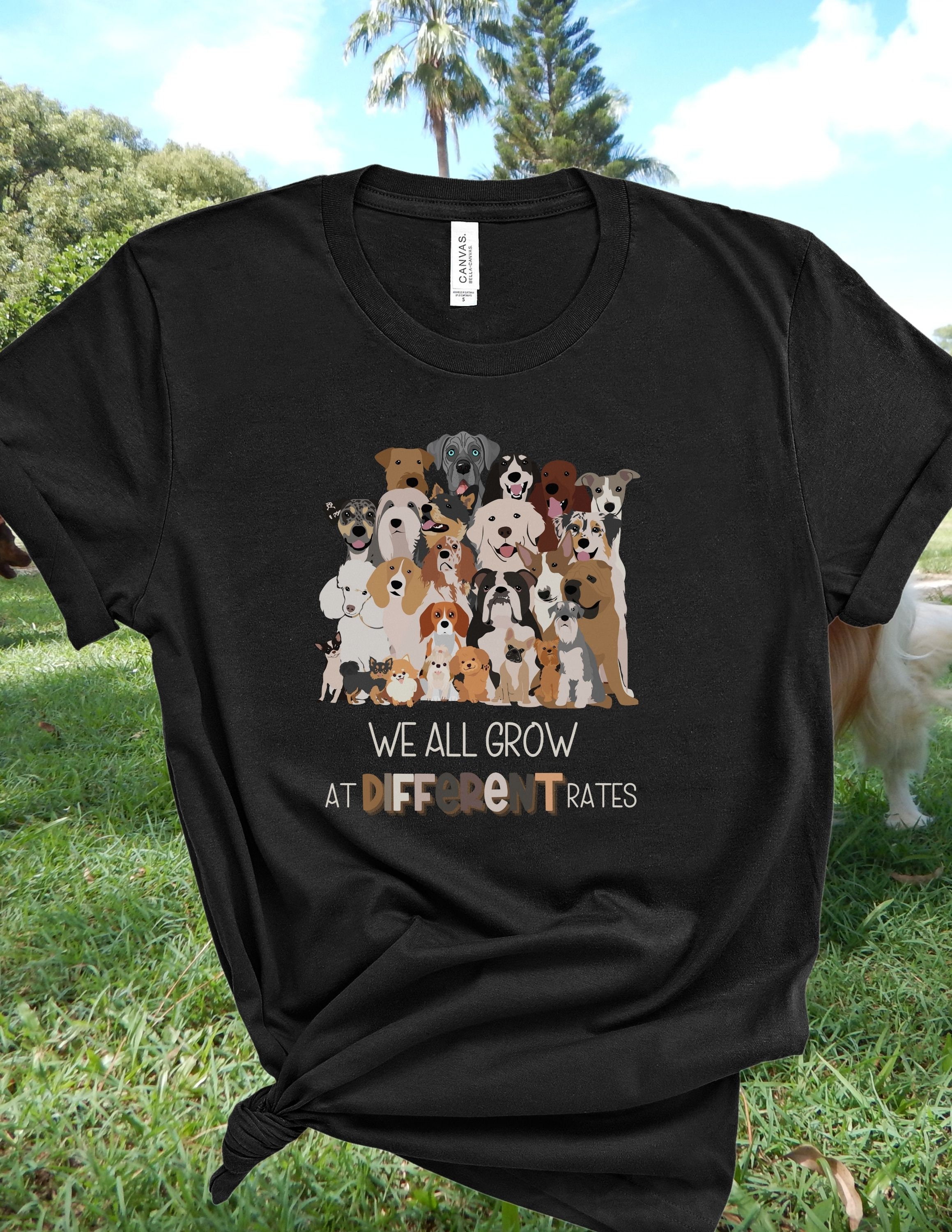 Growth Mindset Classroom Teacher T Shirt Inclusion and - Etsy