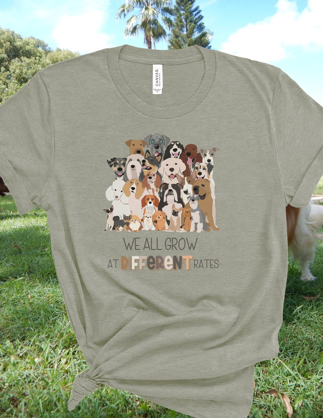 Growth Mindset Classroom Teacher T Shirt Inclusion and - Etsy