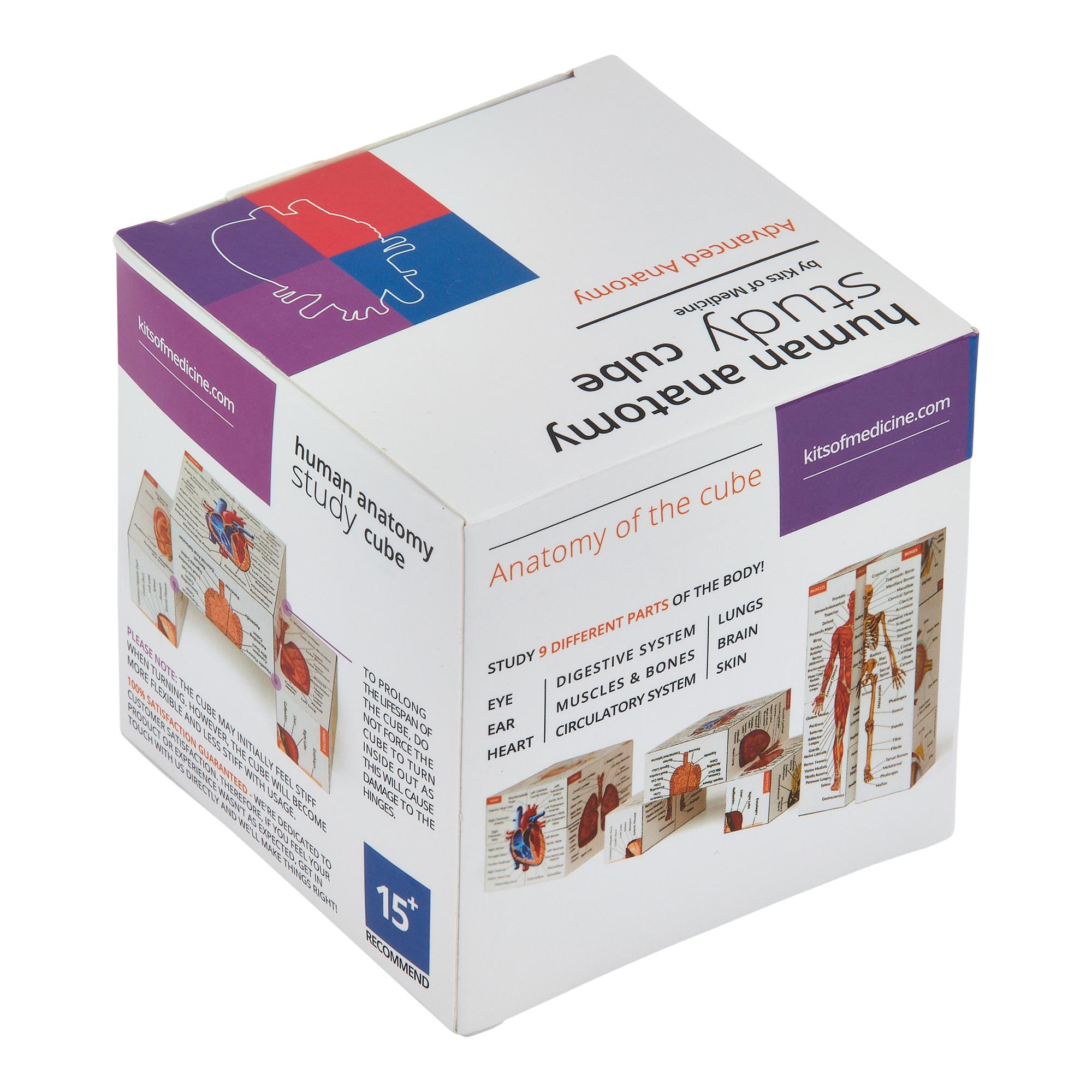 Anatomy Study Cube | Human Body Organs | Medical Student Gift - Etsy UK
