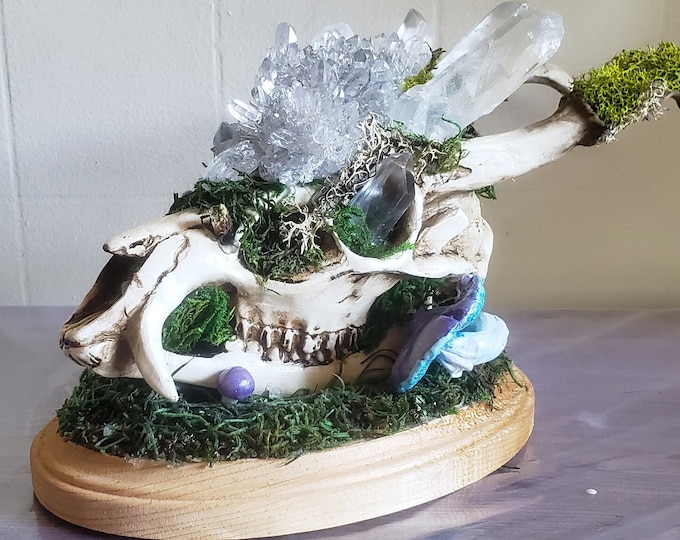 SKULL TABLE DECOR / Muntjac Deer / Hand Made / Forest Moss / Floral ...