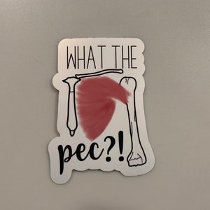 Physical Therapy Stickers - Etsy