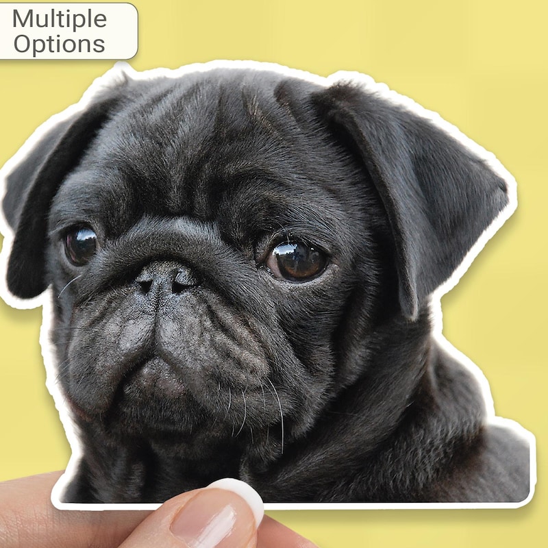 Pug Sticker - Etsy
