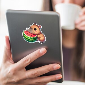 Cute Capybara Sticker. A Cute Baby Capybara Hungry for a Huge ...