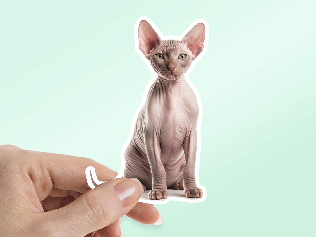 Sphynx Cat Sticker: Waterproof Vinyl Decal - Etsy