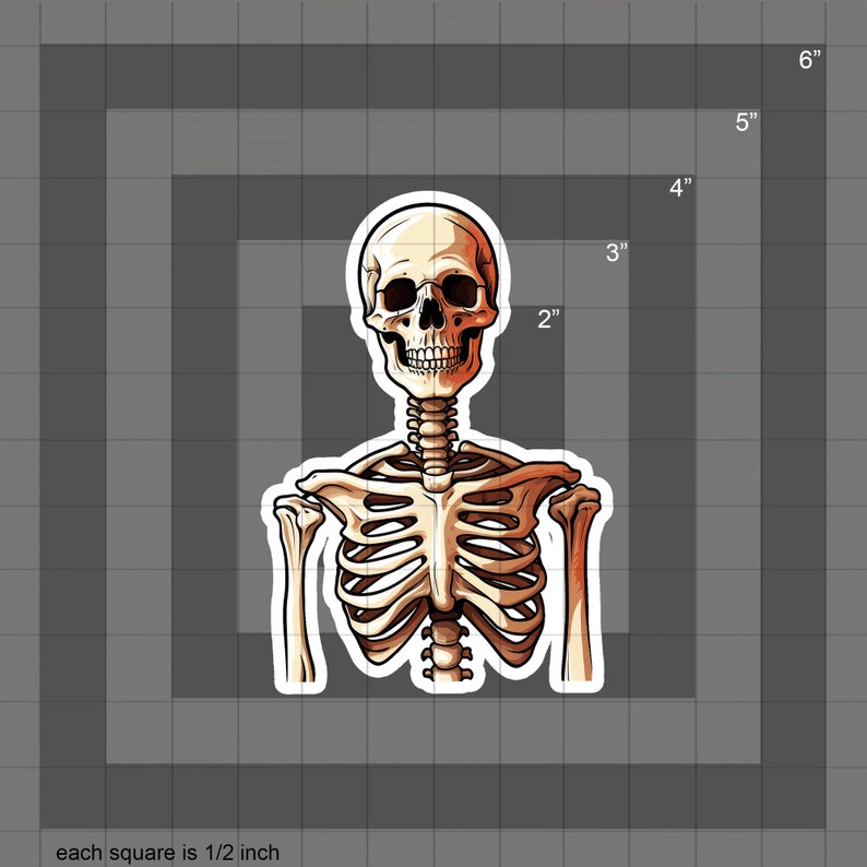Skeleton Sticker, Spooky Season Sticker, Halloween Sticker, Tumbler ...
