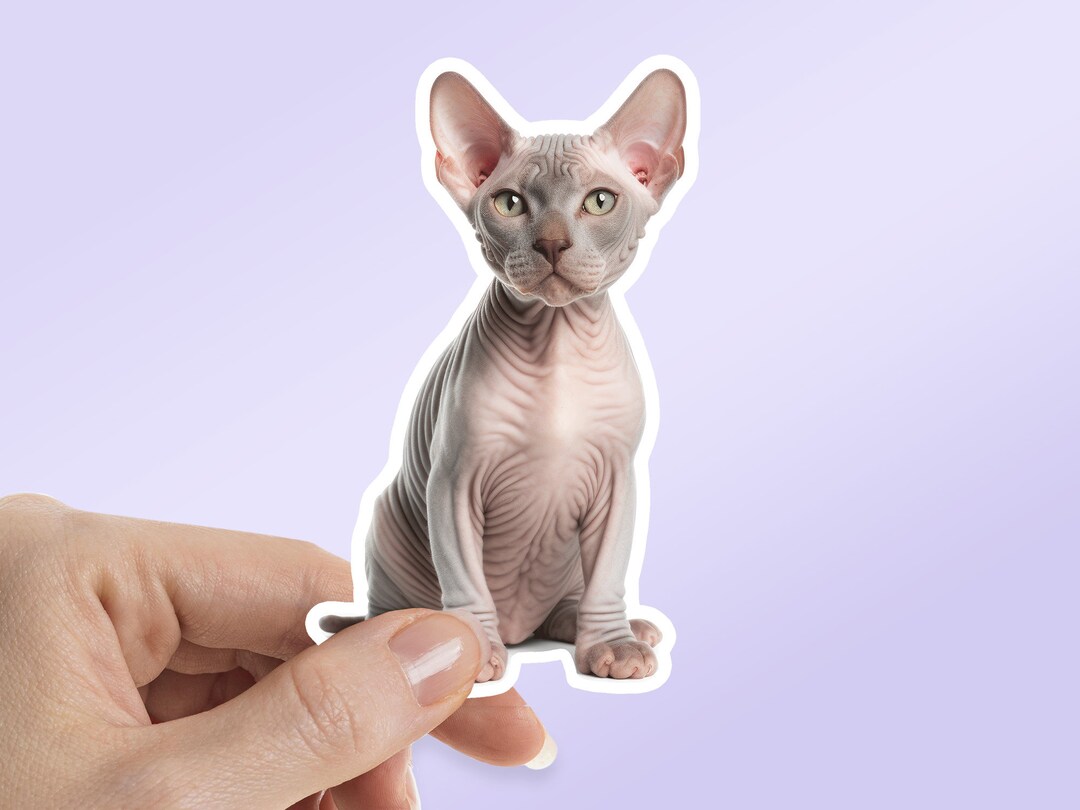 Sphynx Cat Sticker: Waterproof Vinyl Decal - Etsy