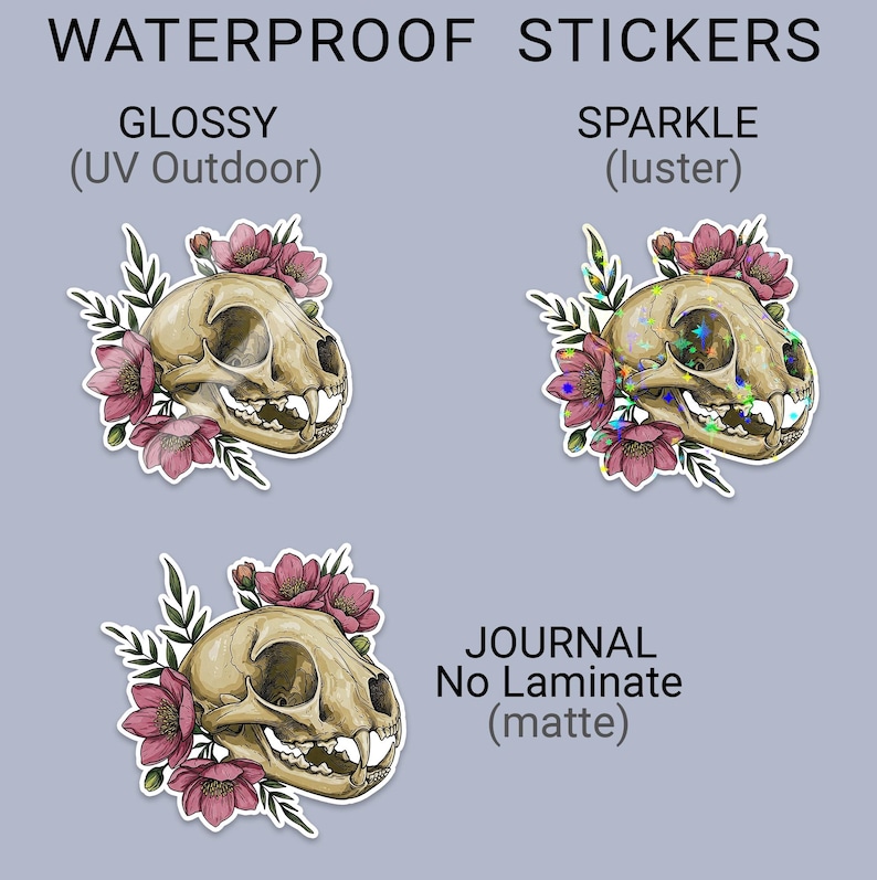 Cat Skull Sticker: Bobcat & Plumeria, Waterproof Vinyl Decal - Etsy