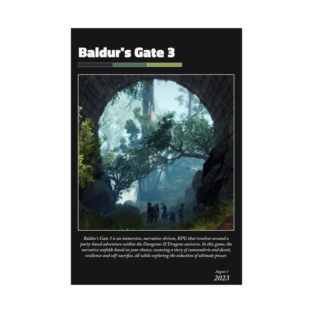 Baldur's Gate 3 Game Info Art, Video Game Vertical Poster, Gaming Wall ...