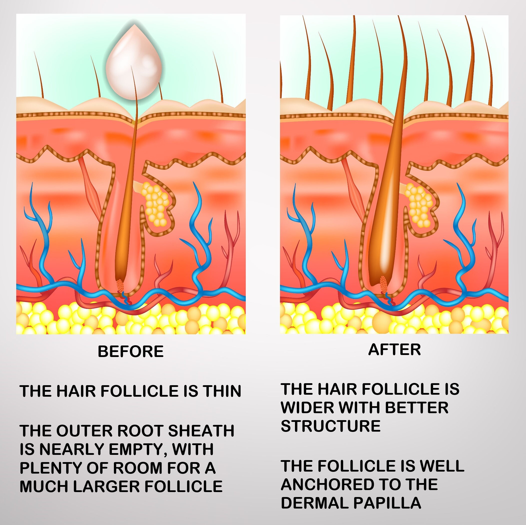 Hair Loss Prevention That Works Hair Regrowth Dual Peptide Follicle