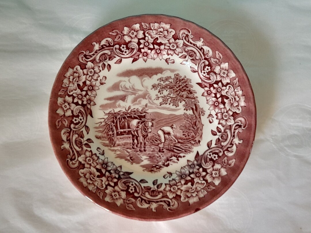 Red Floral Ironstone Plate With Donkey and Cart Royal Tudor - Etsy