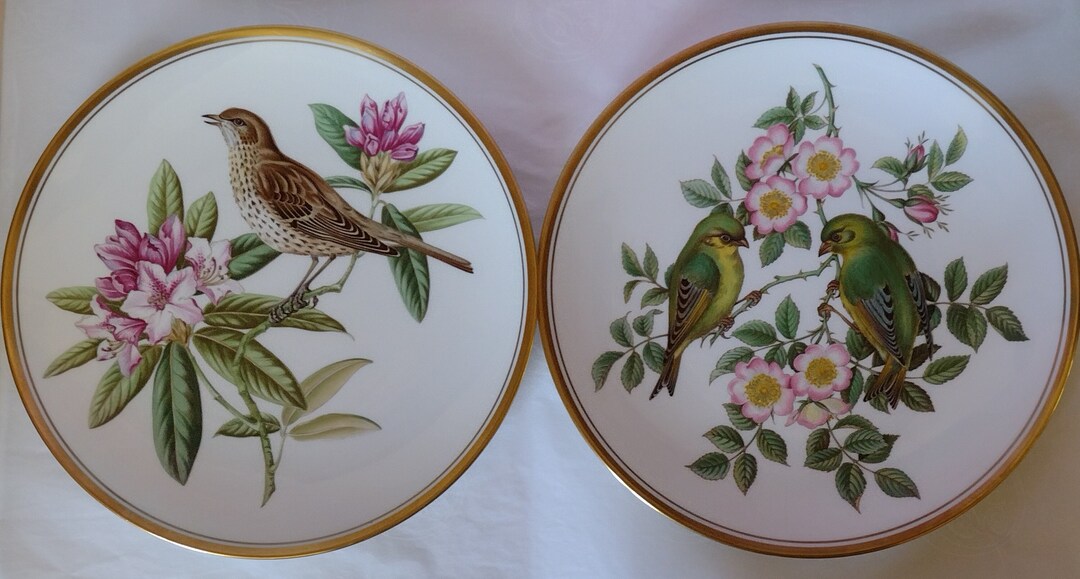 2 Decorative Garden Bird Plates by Spode Garden Bird Plates - Etsy UK