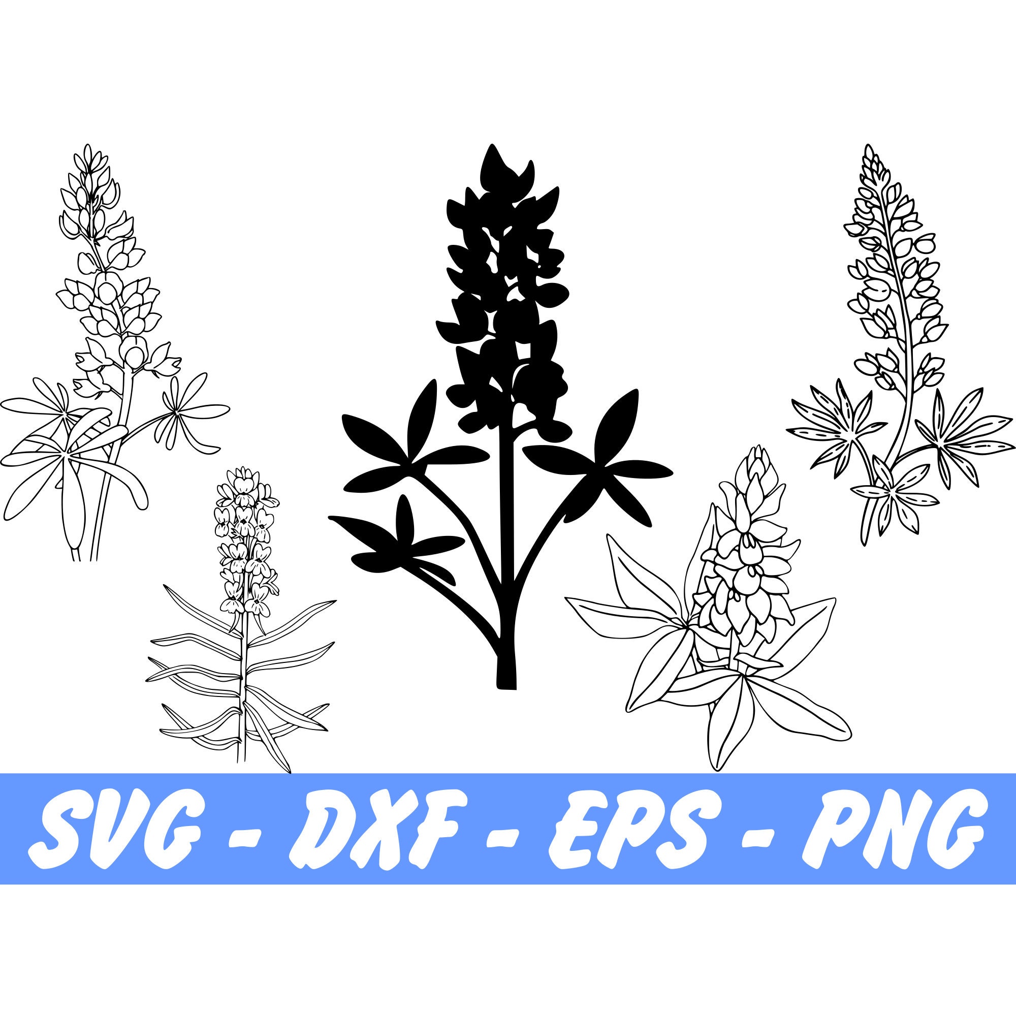 Bluebonnet Svg Blue Bonnet Svgtexas Bluebonnet SVG Texas - Etsy