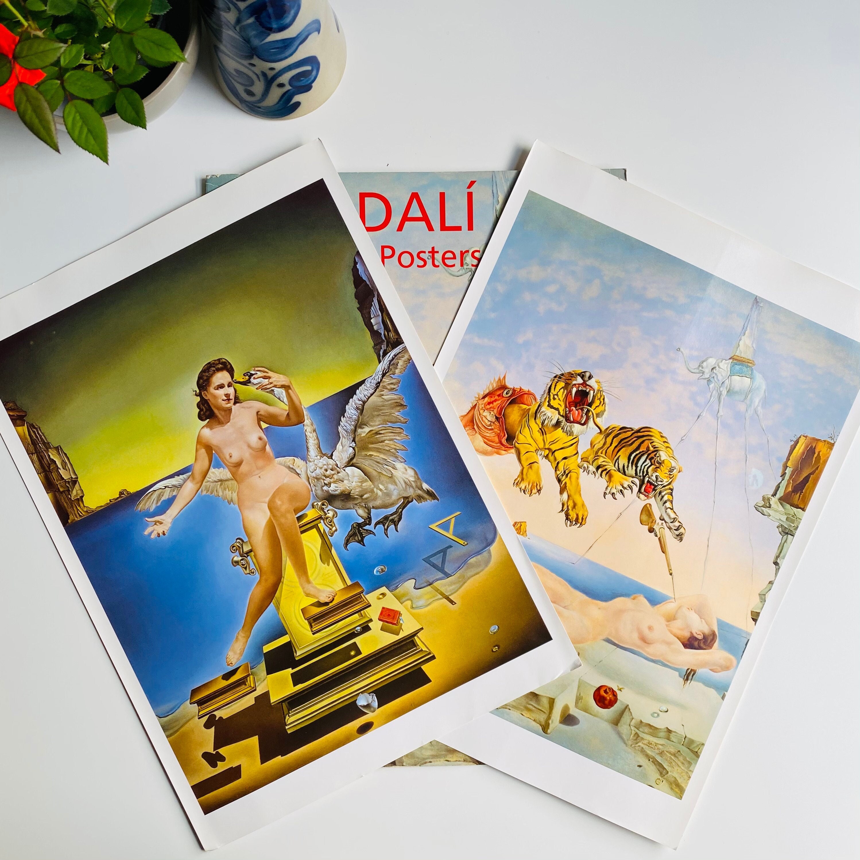 Leda Atomica Salvador Dali