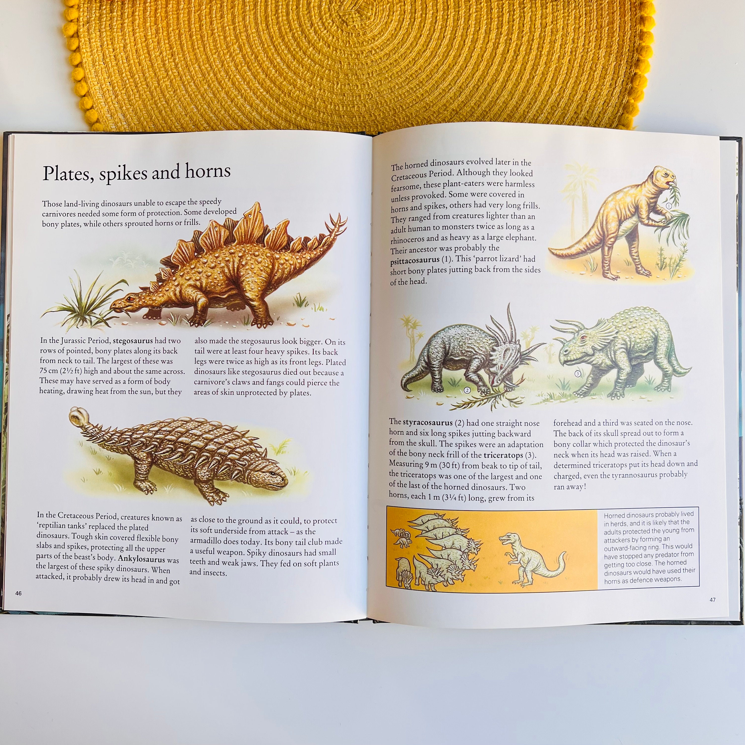 The Big Book of Dinosaurs Book Dinosaur Art Illustrations - Etsy