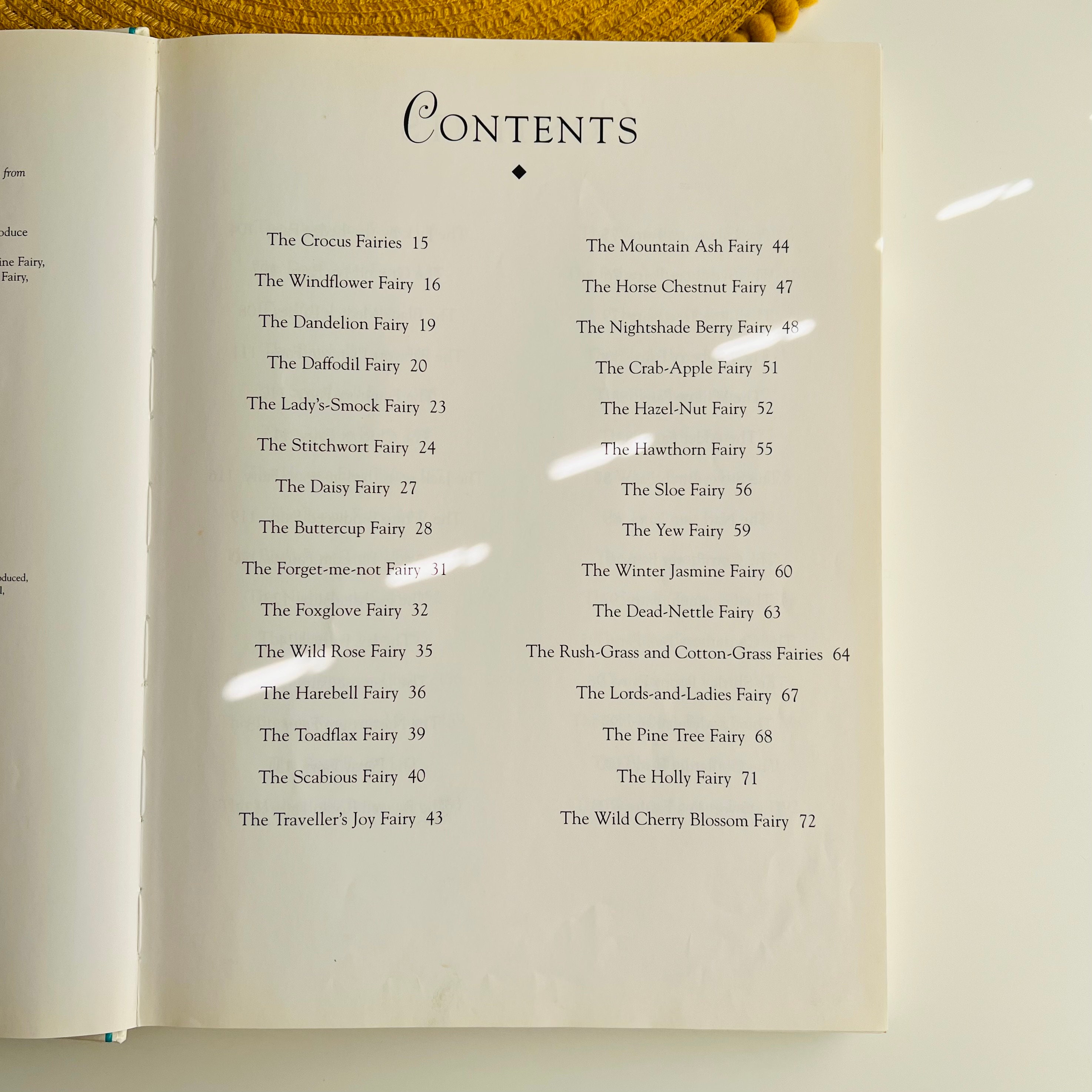 Vintage Book by Cicely Mary Barker 'A Flower Fairies Treasury', 1997 ...