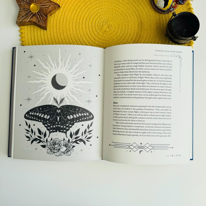 Moon Magic: Lunar Spells to Attract an Enchanted Life, Mystic Archives ...