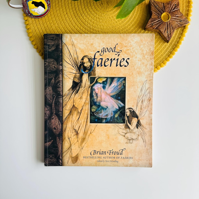 Good Faeries, Bad Faeries Book, Brian Froud Black Annis, Morgana Le Fay ...