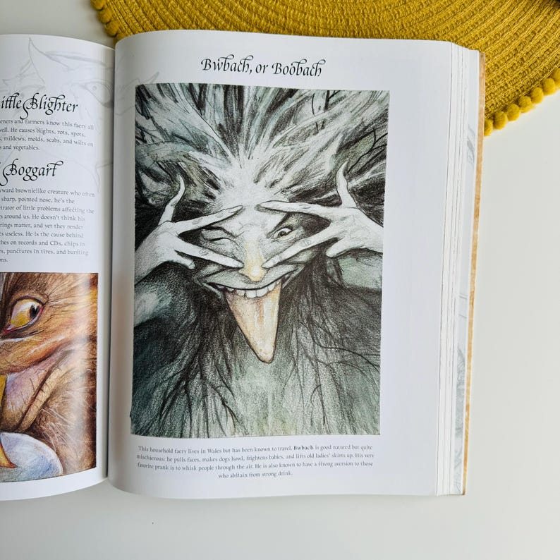 Good Faeries, Bad Faeries Book, Brian Froud Black Annis, Morgana Le Fay ...