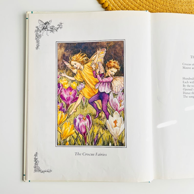 Vintage Book by Cicely Mary Barker 'A Flower Fairies Treasury', 1997 ...