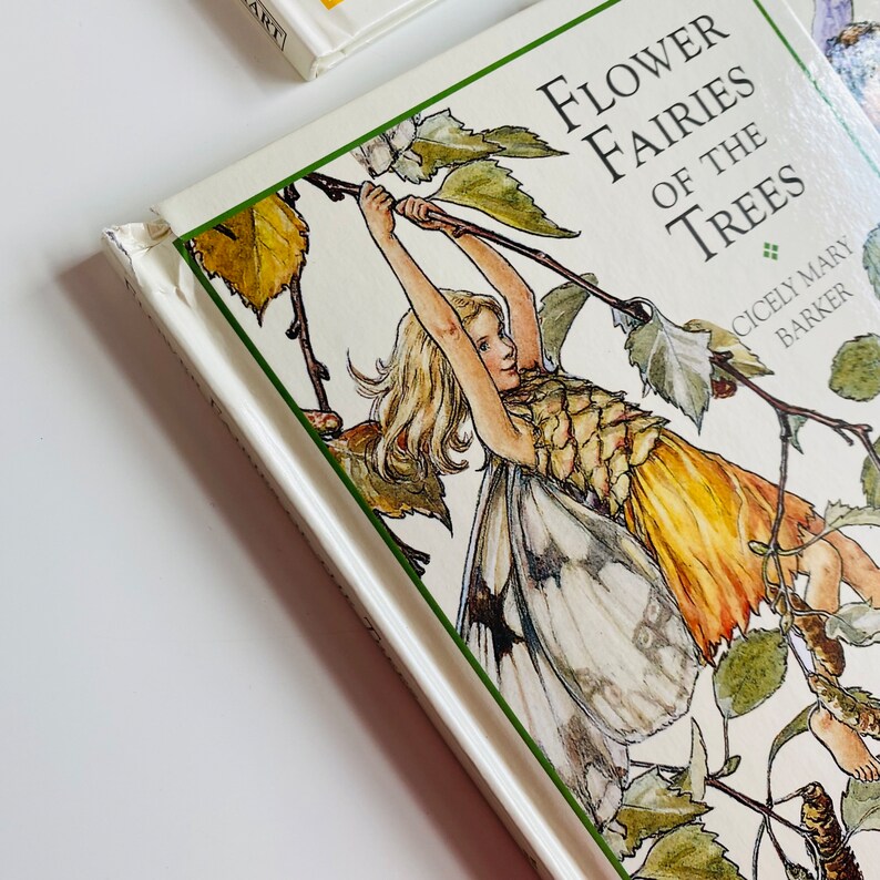 Flower Fairies Library Books One or Set, Cicely Mary Barker, Fairies of ...