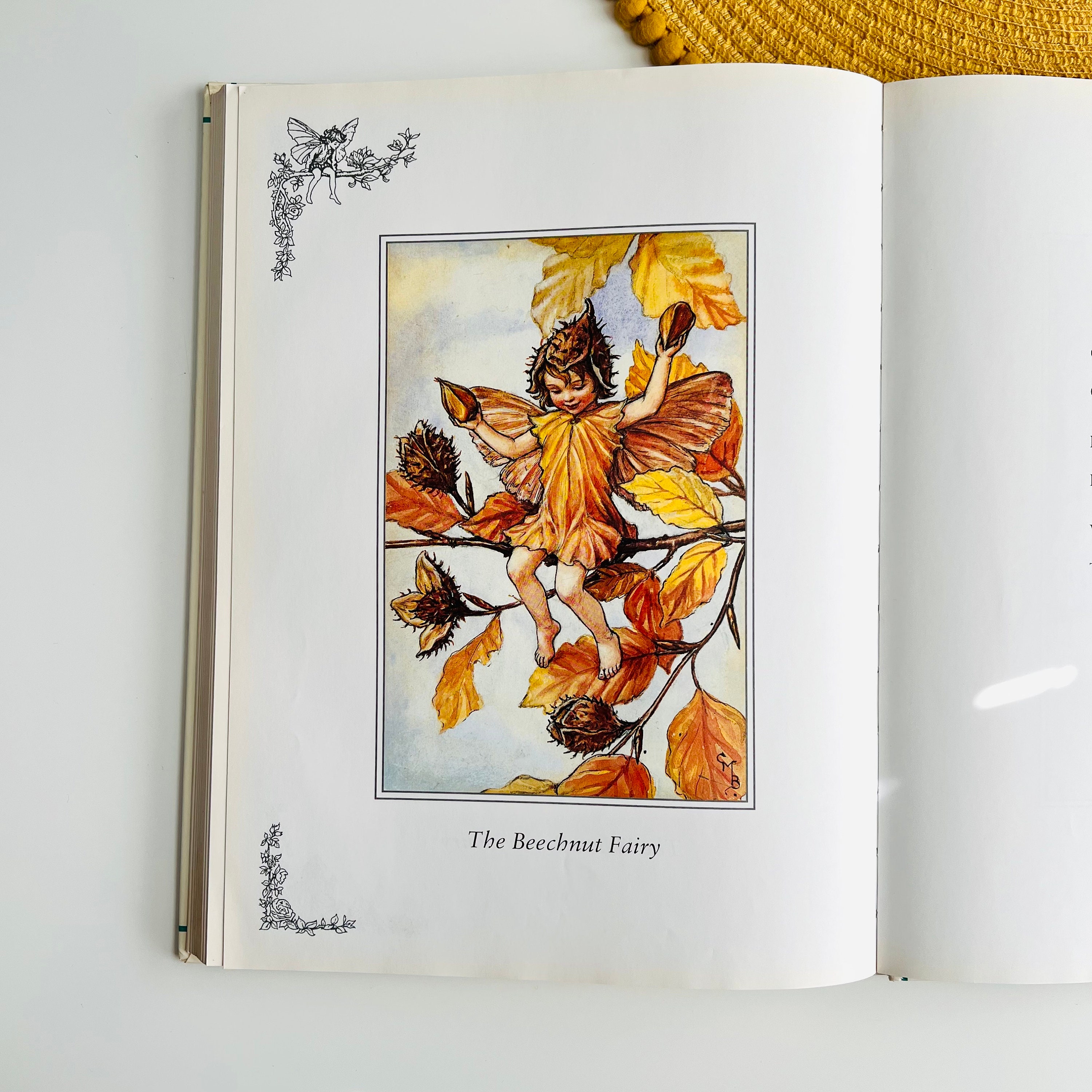 Vintage Book by Cicely Mary Barker 'A Flower Fairies Treasury', 1997 ...