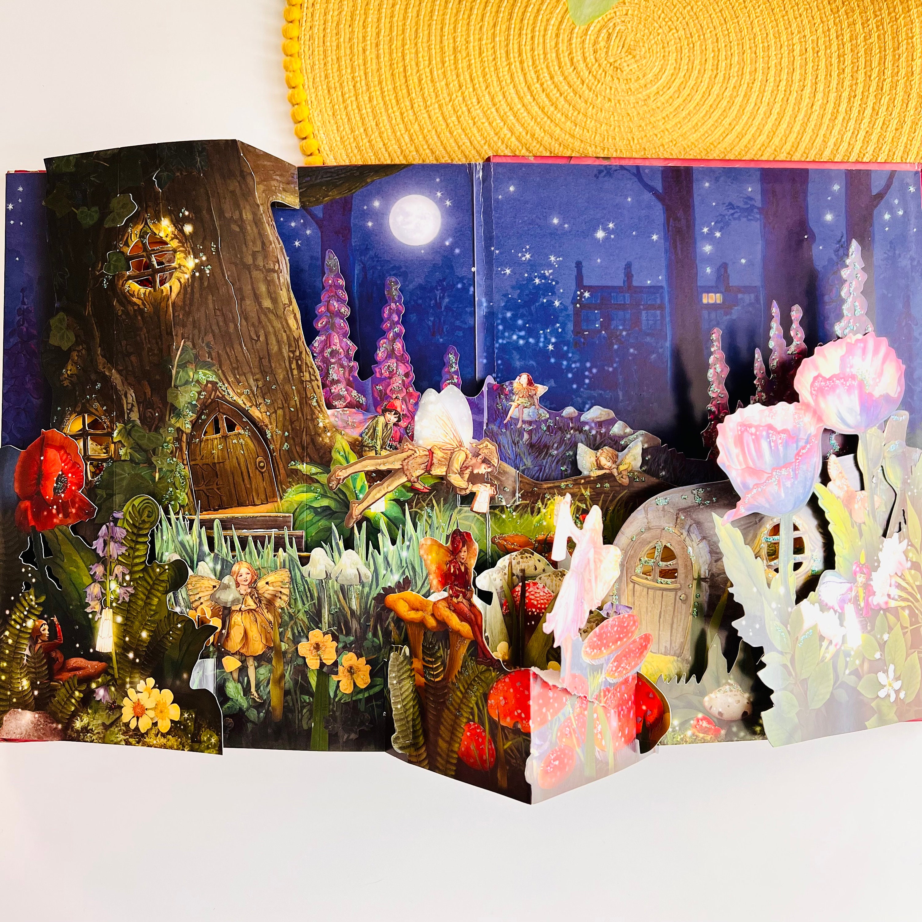 Return to Fairyopolis: Flower Fairies Pop up Book by Cicely - Etsy