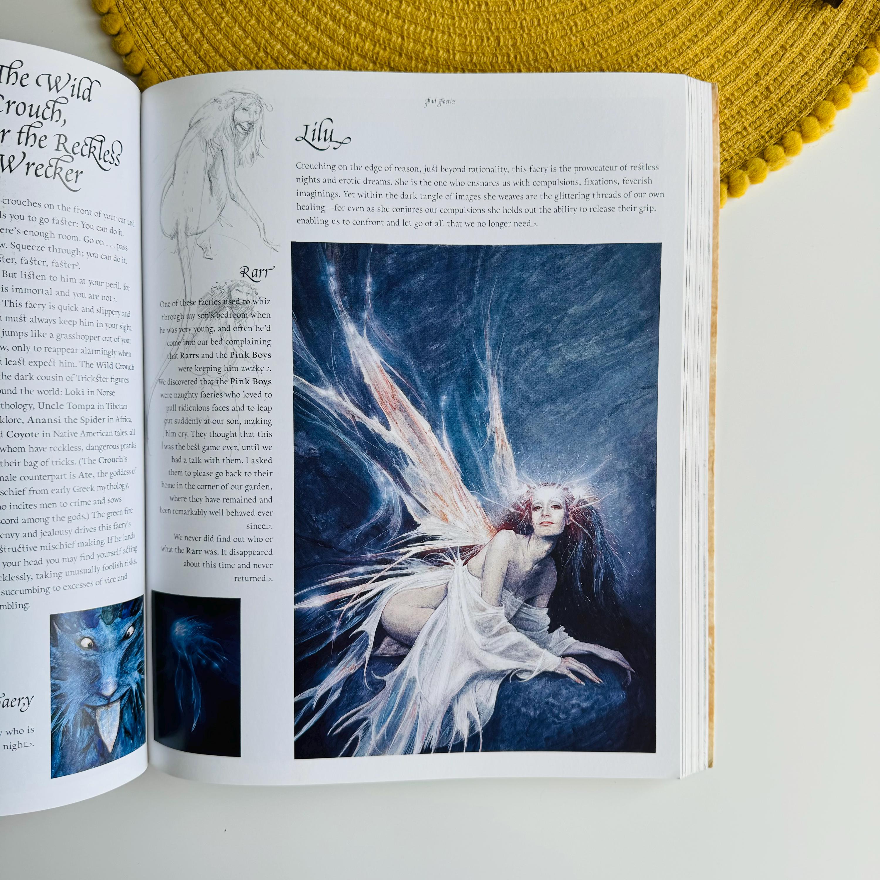 Good Faeries, Bad Faeries Book, Brian Froud Black Annis, Morgana Le Fay ...
