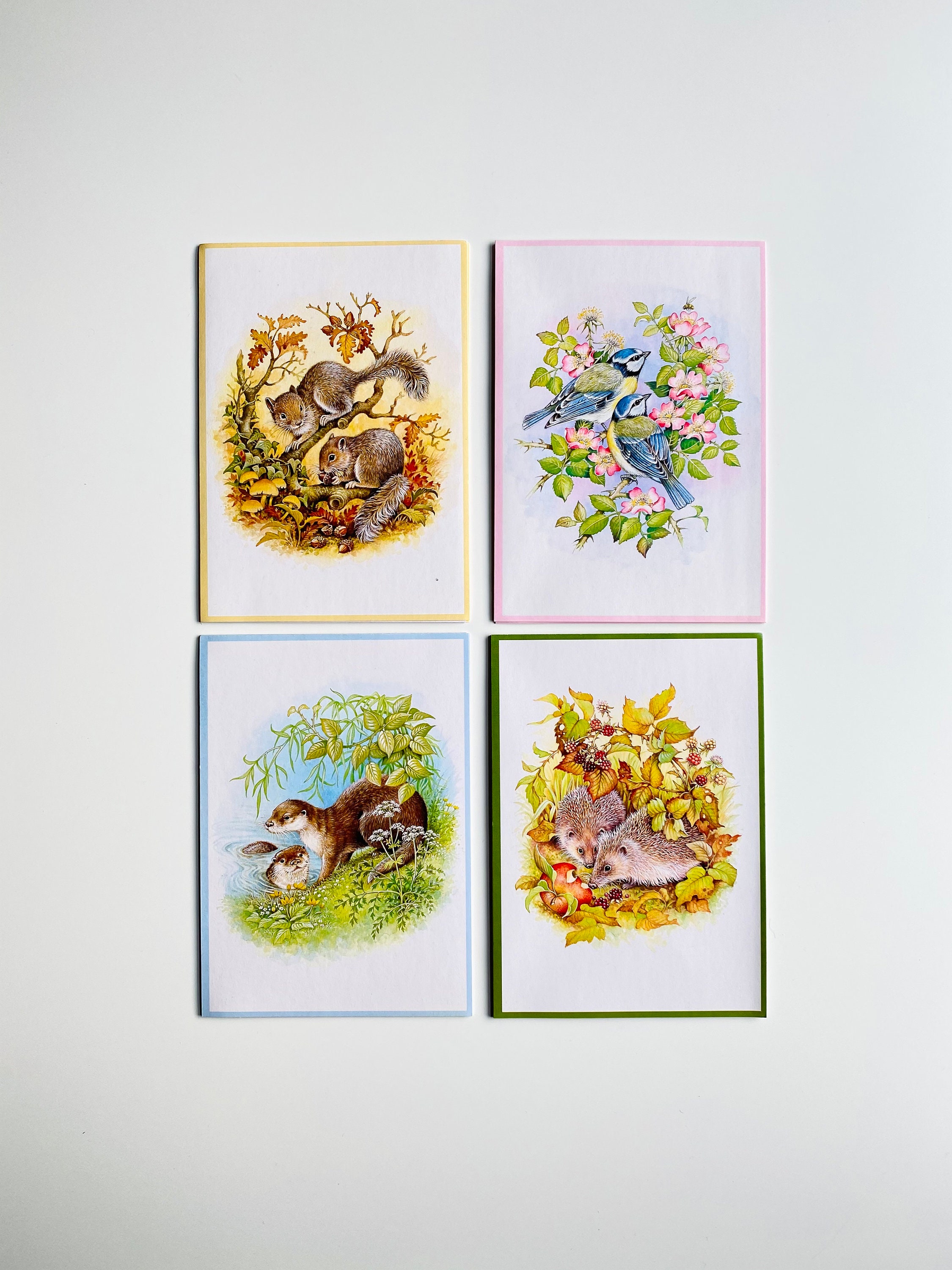 Vintage Nature Animals Postcard Set, Sparrow Birds Squirrels Hedgehogs ...