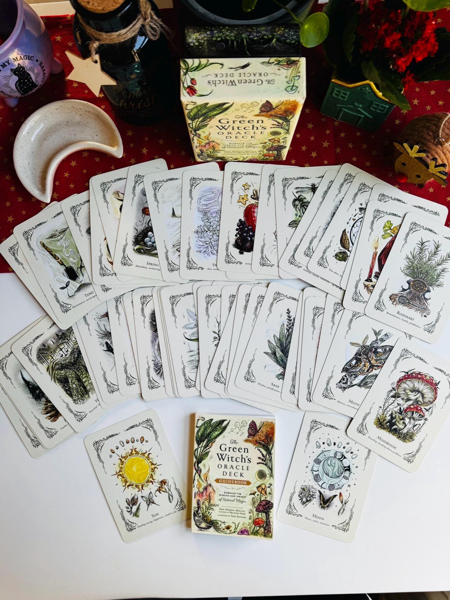 Green Witch's Oracle Deck, Woodland Wardens Oracle & Tarot Cards Deck ...