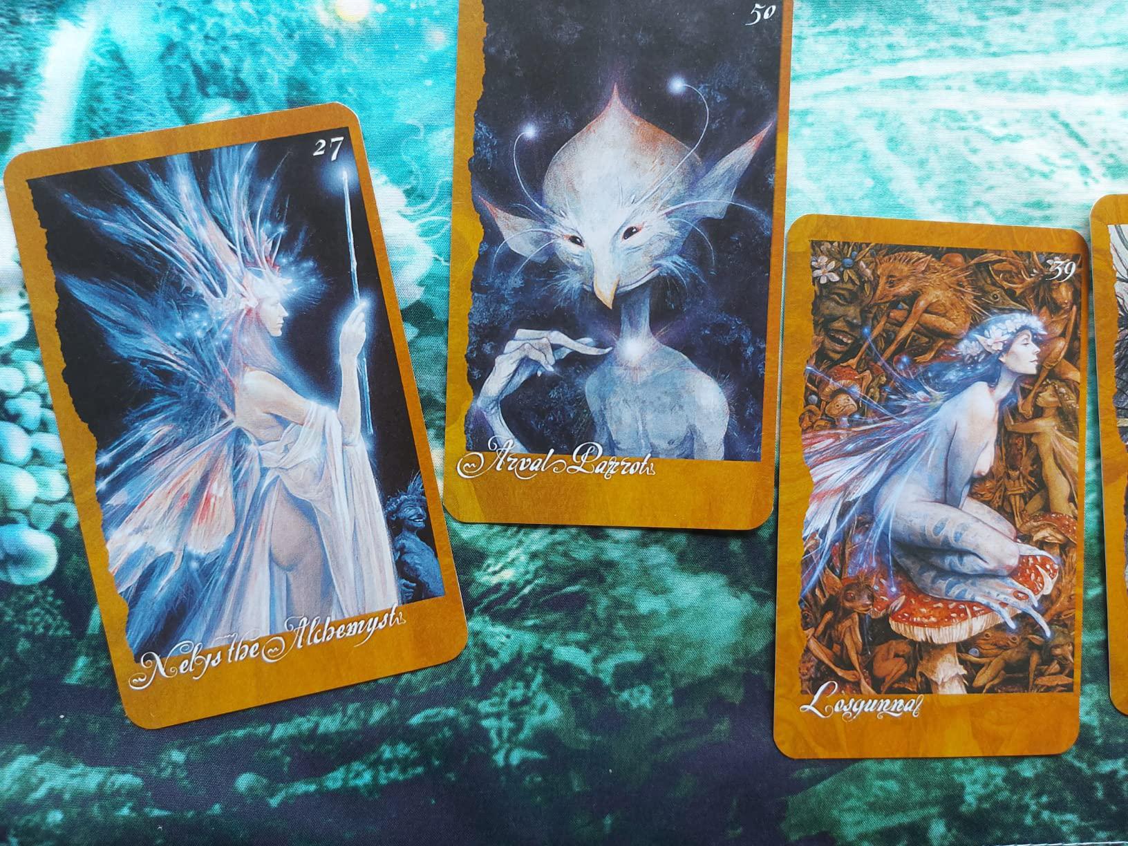 Faeries Oracle Cards Deck With Fairies Illustrations, Brian Froud ...