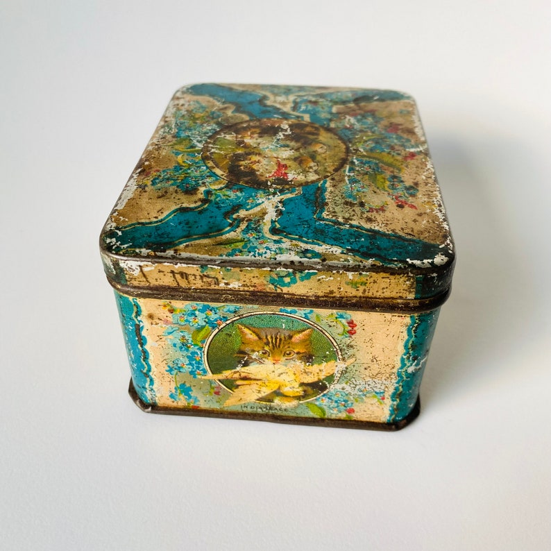 Antique 1900s Cat Playful Kitty Tin Can Box Lithography - Etsy