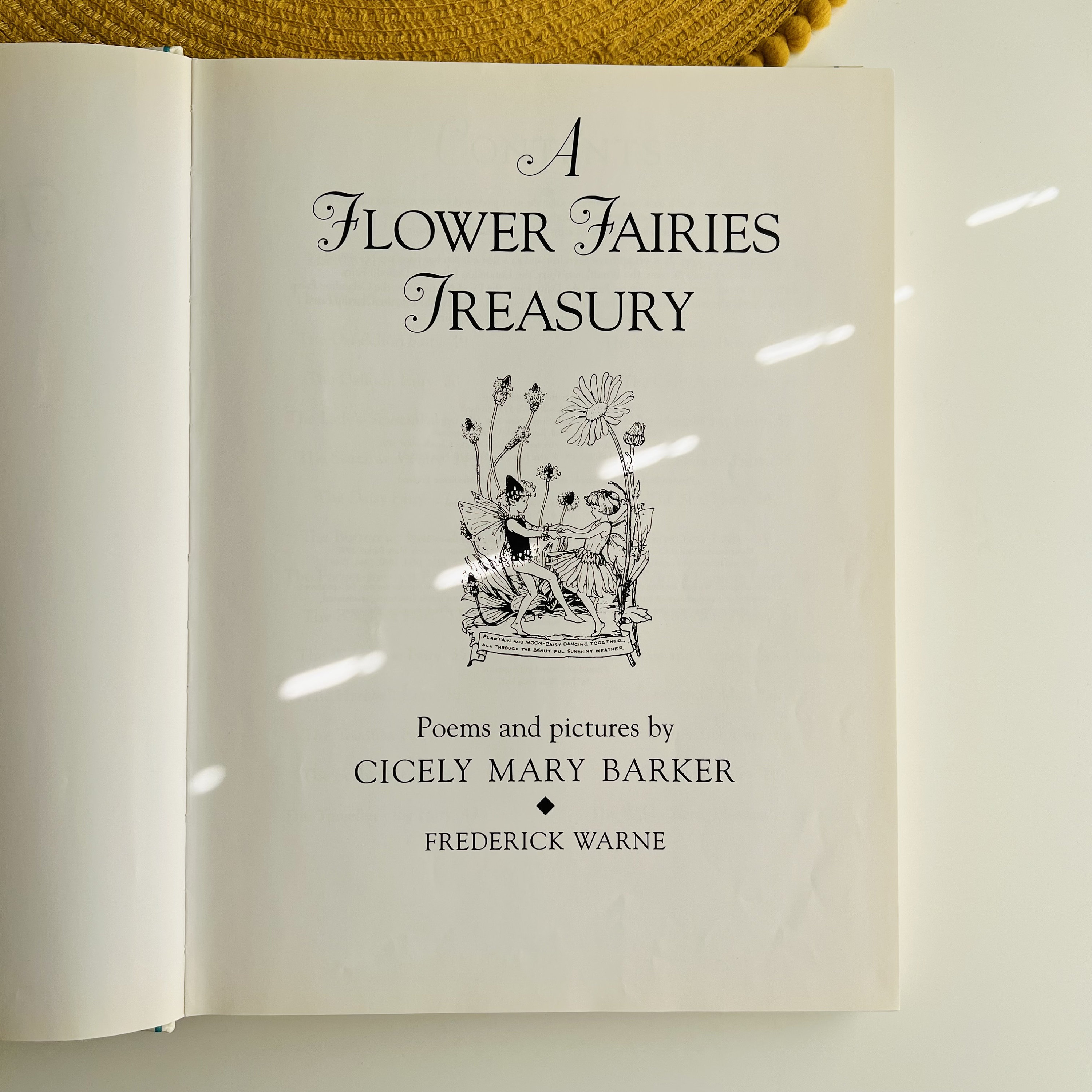 Vintage Book by Cicely Mary Barker 'A Flower Fairies Treasury', 1997 ...