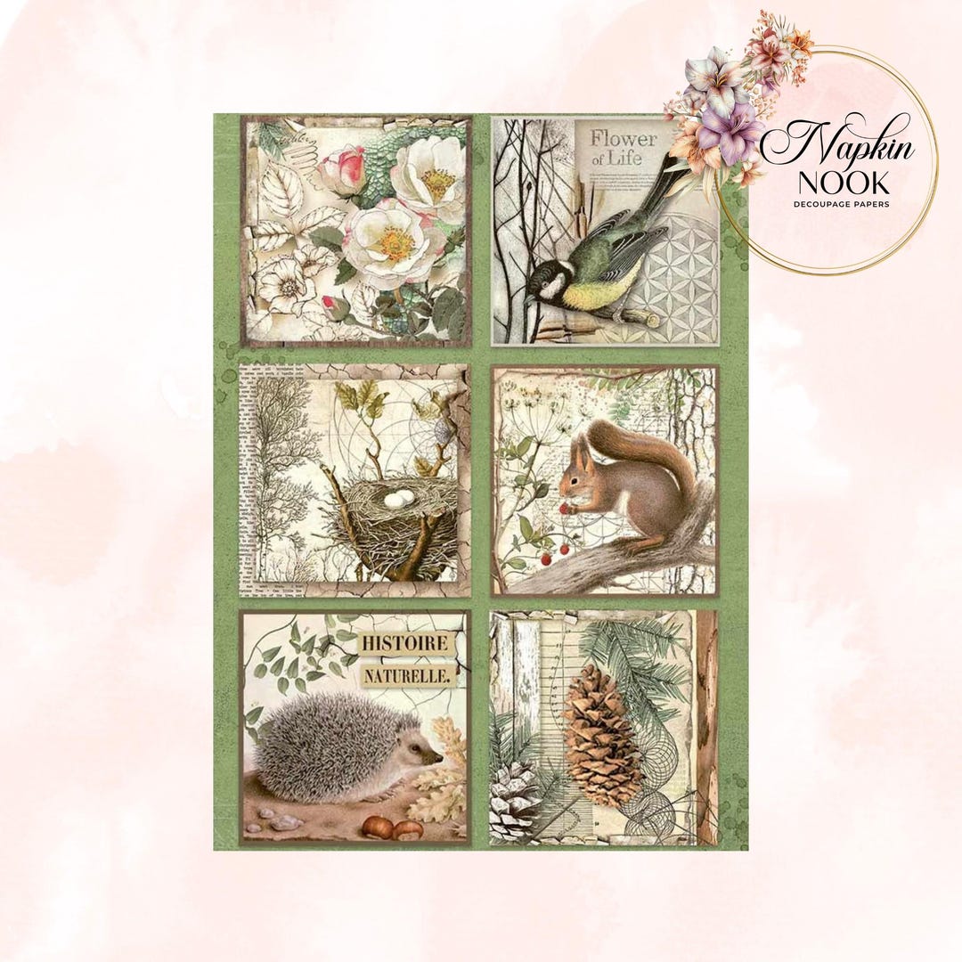 A4 Rice Paper for Decoupage, Nature Woodland Creatures, Stamperia ...