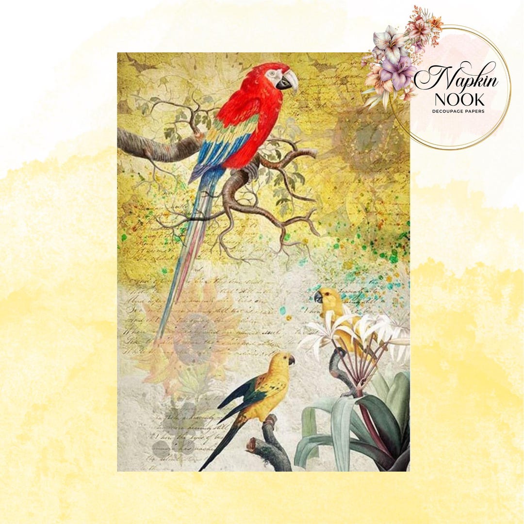 Rice Paper for Decoupage, A4 Paper, Parrot Bird Rice Paper, Feathered ...