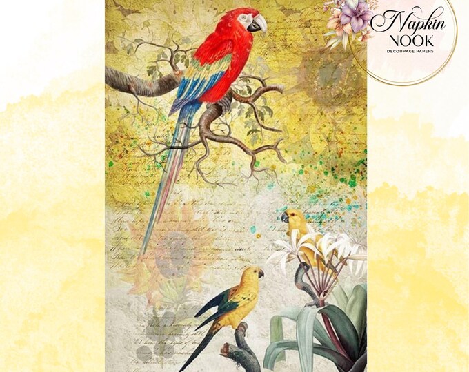 Rice Paper for Decoupage, A4 Paper, Parrot Bird Rice Paper, Feathered ...