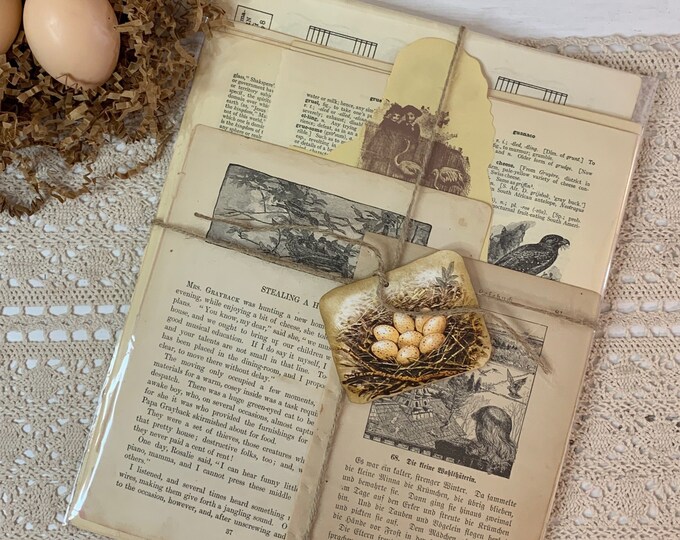 Bird Ephemera, 25 Pc Vintage 1930's-1940's Bird Nature Ephemera Kit for ...