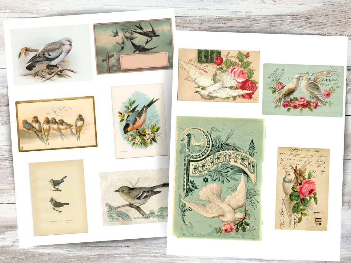 VINTAGE BIRDS Digital Download, 10 Pages of Vintage Printable Bird ...