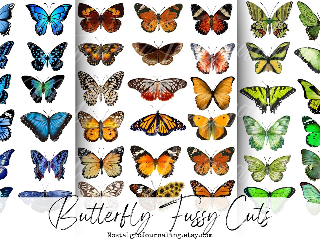 BUTTERFLY Digital Download Kit, Vintage Butterfly Fussy Cuts for Junk ...