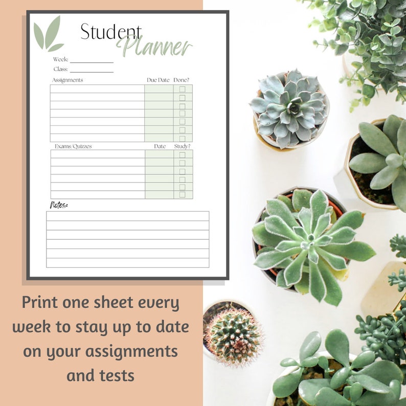 Student Printable PDF Planner Schedule - Etsy