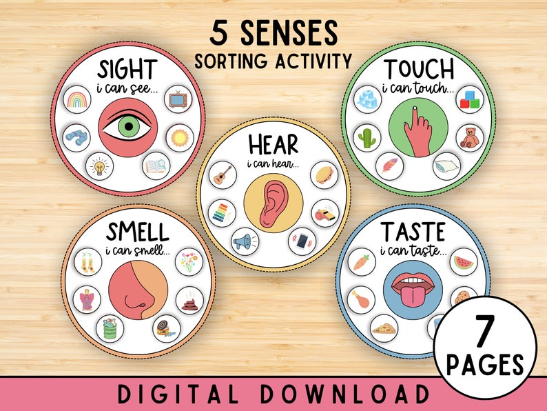 Five Senses Sorting Activity, Preschool, Kindergarten, 5 Senses ...