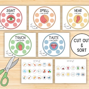 Five Senses Sorting Activity, Preschool, Kindergarten, 5 Senses ...