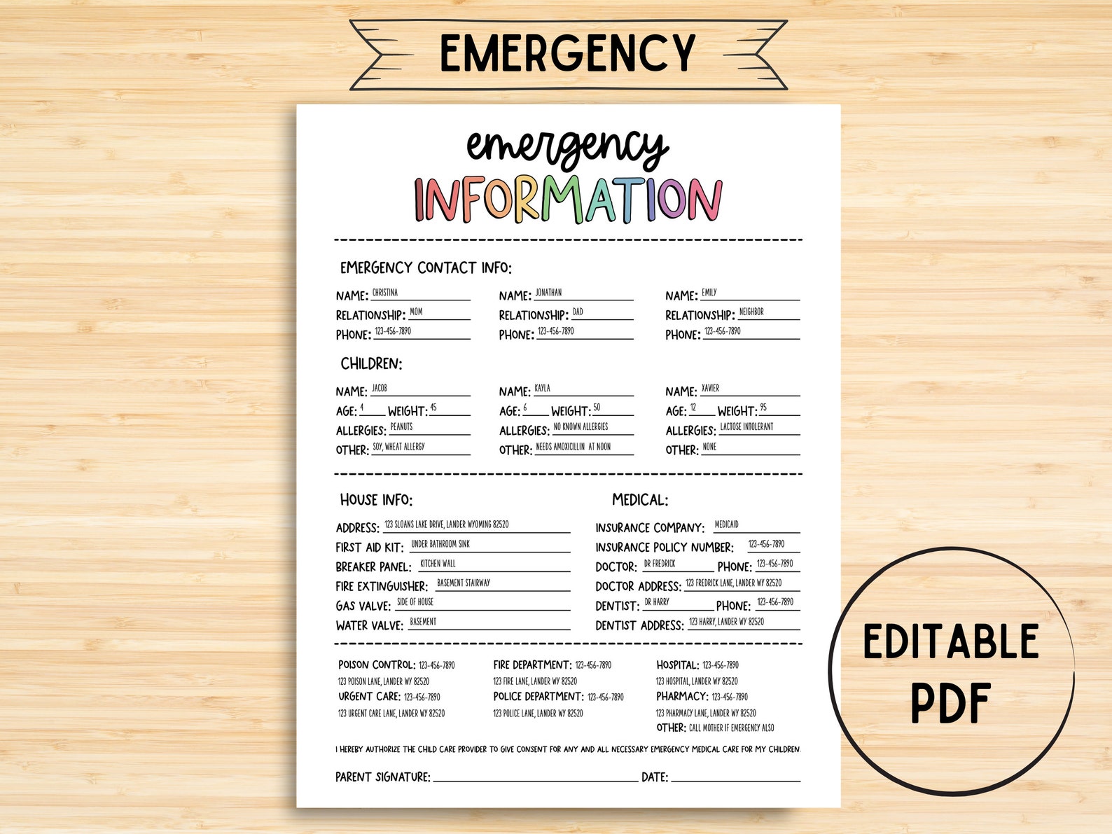 Emergency Contact Info Sheet, Contact Information for Nanny, Babysitter ...