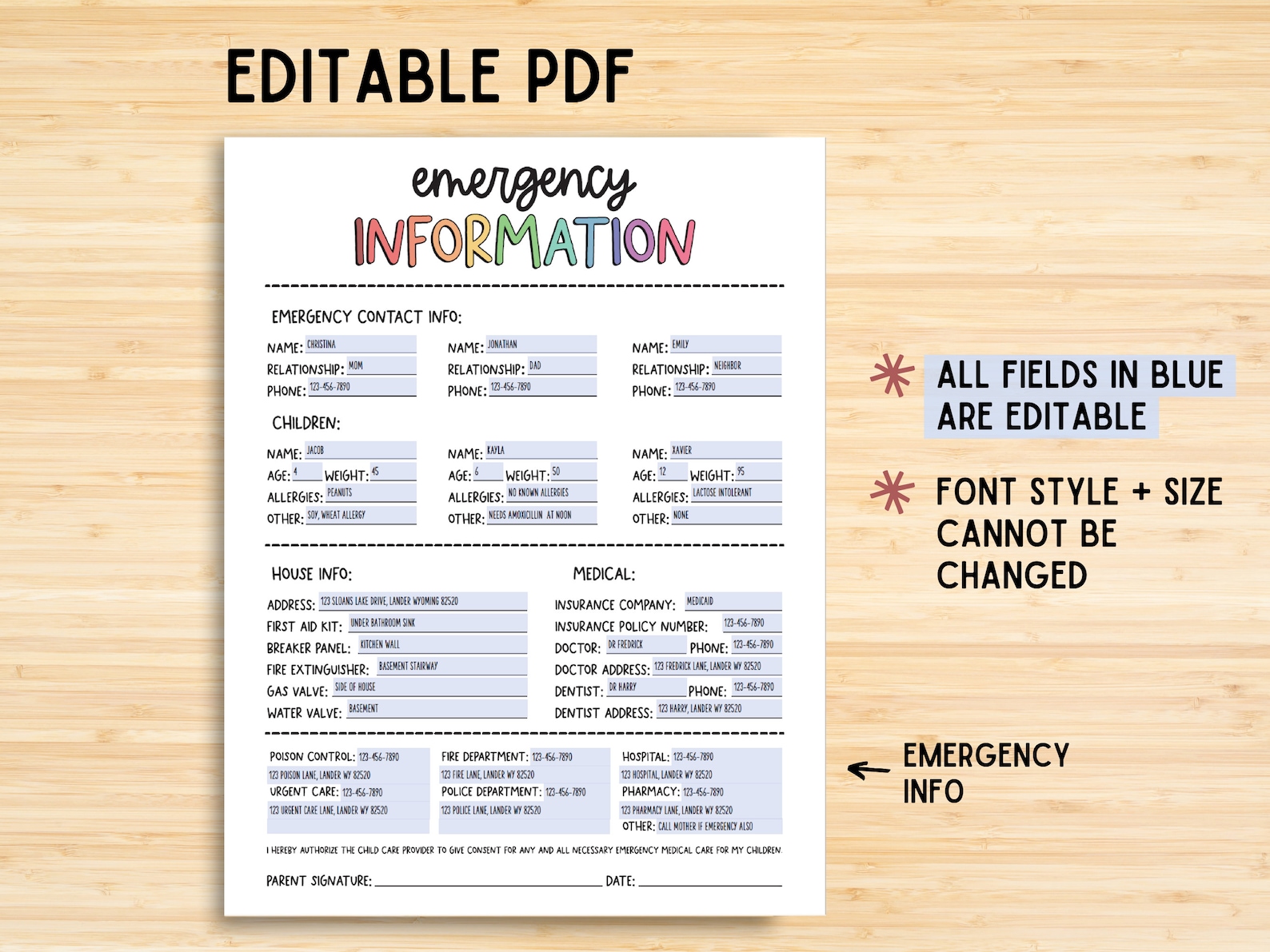 Emergency Contact Info Sheet Contact Information for Nanny - Etsy
