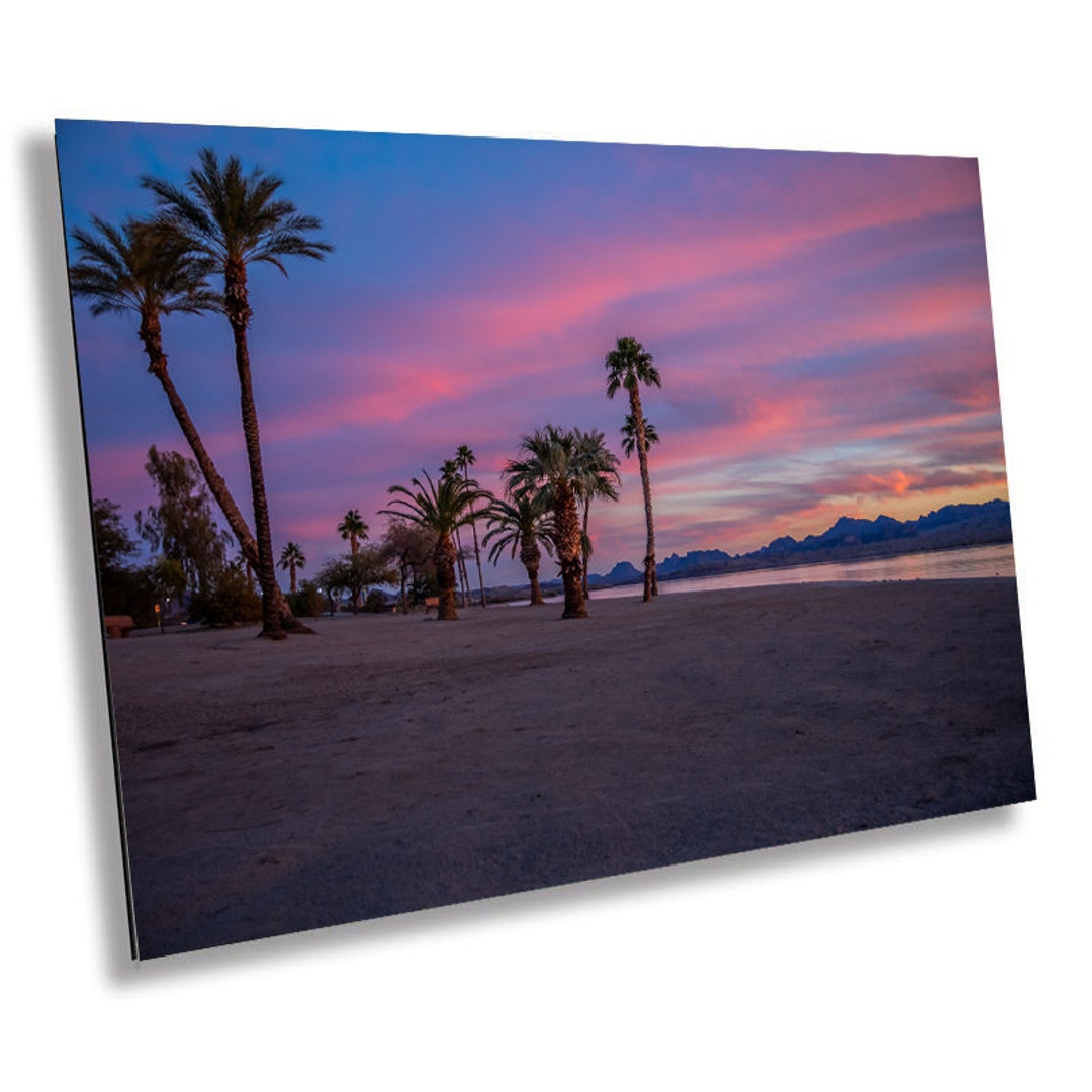 Tropical Lake Beauty: Palm Trees at the Lake Havasu Rotary Park Metal ...