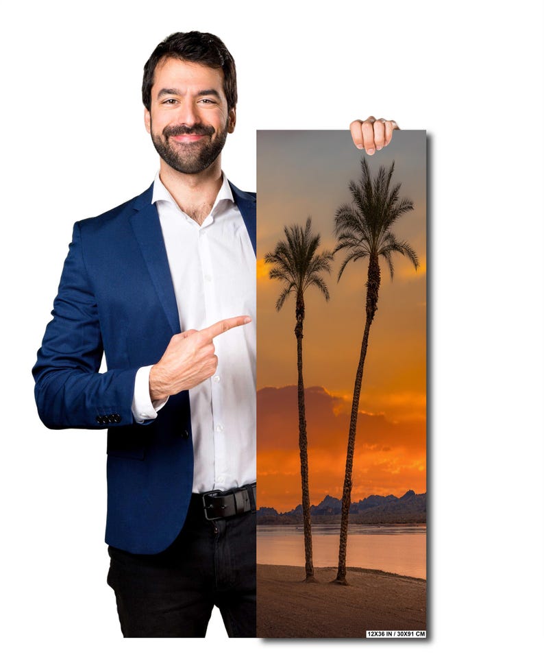 Lake Havasu Palm Tree Arizona Desert Nature Photography Wall Art - Etsy